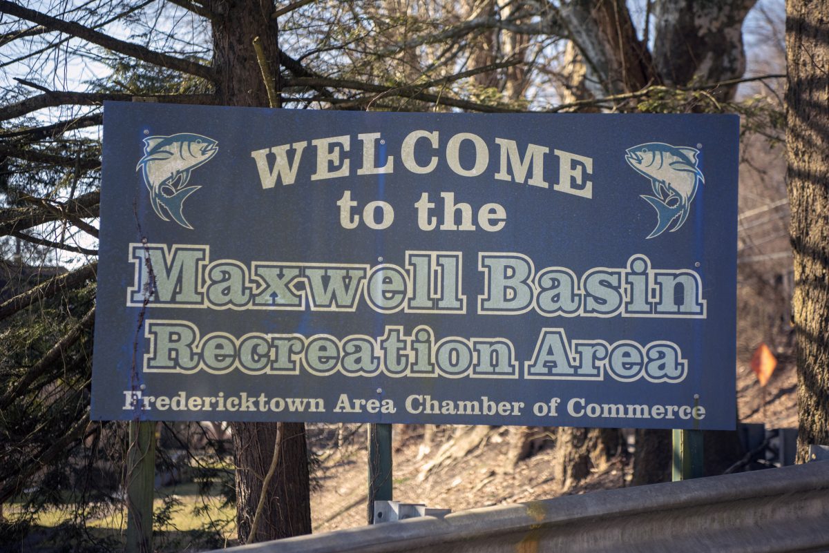 Our Town: Fredericktown - Observer-Reporter